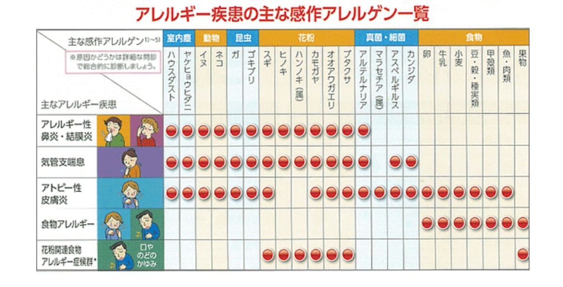 アレルギー検査39種類セット（View39） - 奈良県香芝市の内科・呼吸器内科・美容皮膚科 ｜ ノアクリニック ｜ NOA CLINIC